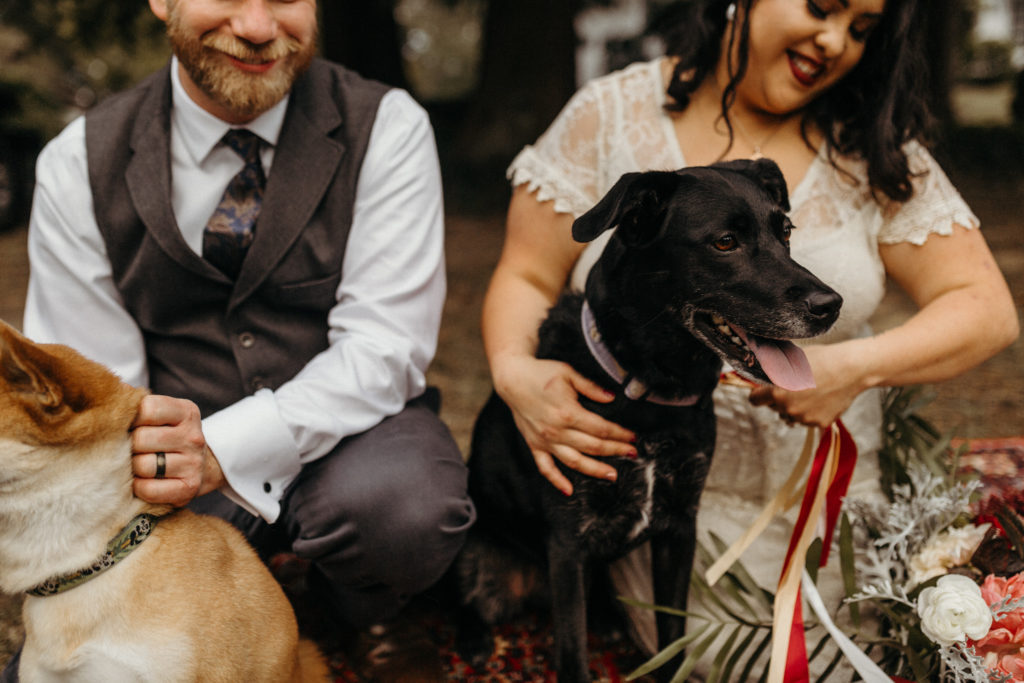 Intimate Backyard Elopement & A String-Lit Backyard Bash With Endless ...