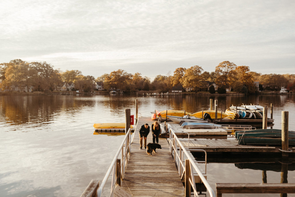 Dog_Quiet_Waters_Park_Fall_Annapolis_Maryland_Wedding_Photographer ...